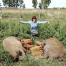 Prairie Hog Country – Introducing Mangalitsa Pigs